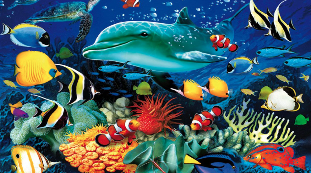 Nature and Science – Learning at TechAksh